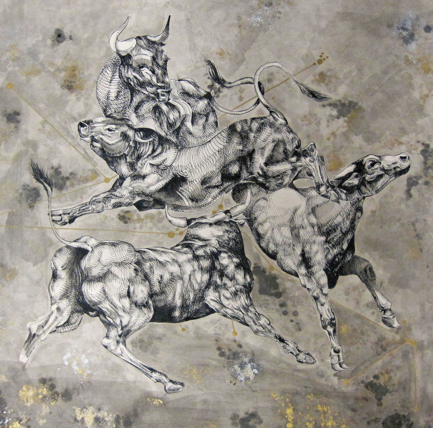 Taurus (Hannah Chelgren)